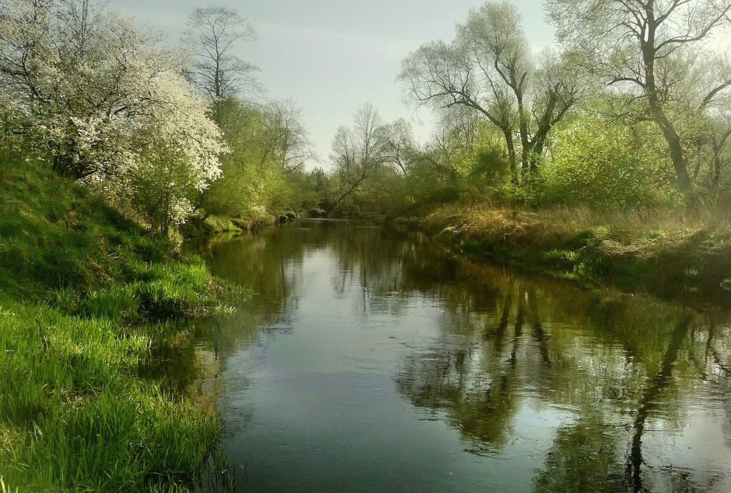 How To Pass The Australia Driving Licence Theory Test ...